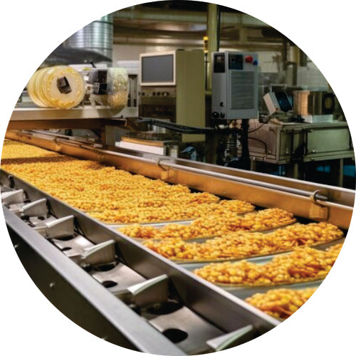 Food Processing – Ramana Machines